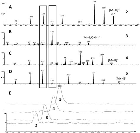 A D Product Ion Spectra For Tetronic Acids 2 5 Respectively E