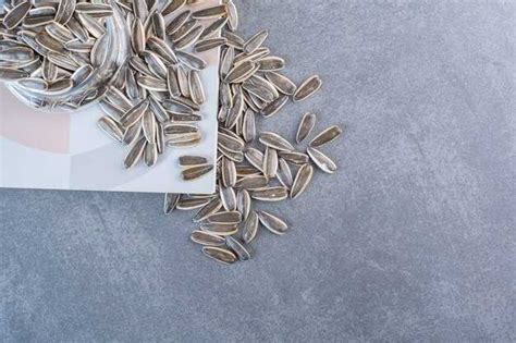 Do Sunflower Seeds Go Bad Is It Durable