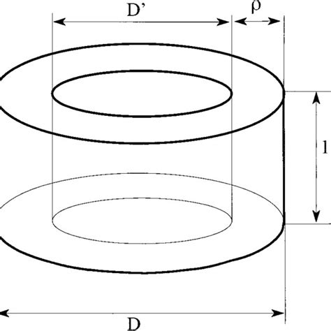 Geometry Of The System The Stem Root Of Diameter D Is Modeled By A