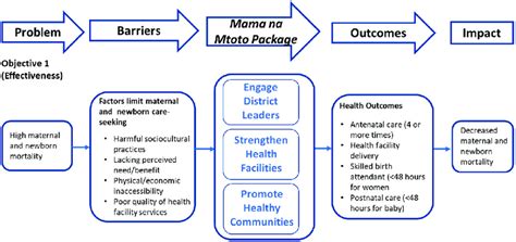 Mama Na Mtoto Logic Model Showing The Two Research Objective Pathways Download Scientific Diagram