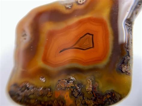 Whole Agate Nodules R Rocktumbling