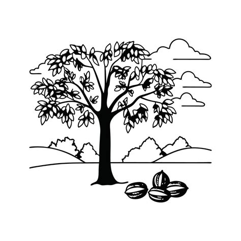 Vivid Walnut Tree Design 57957365 Vector Art At Vecteezy