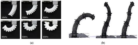 Design Of Soft Robots A Review Of Methods And Future Opportunities For