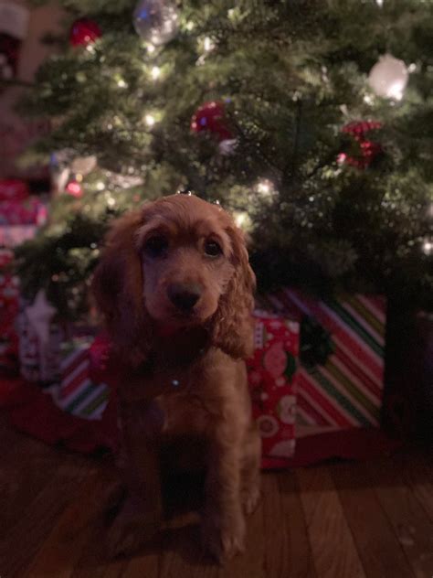 I Present U My Felipe He Looks Always Angryuncomfortable R