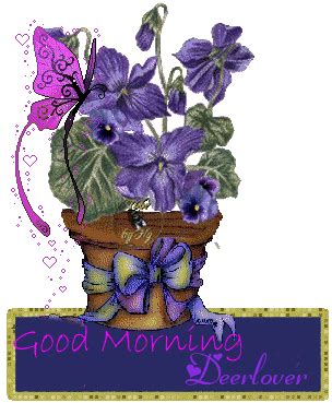 Good Morning Purple Flowers