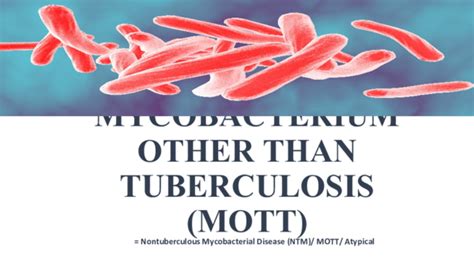 Ppt Mycobacterium Other Than Tuberculosis Mott