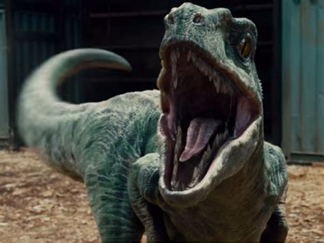Jurassic Park Velociraptor Quotes Quotesgram