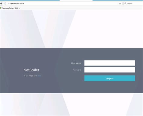 netscaler doodzzz s notes