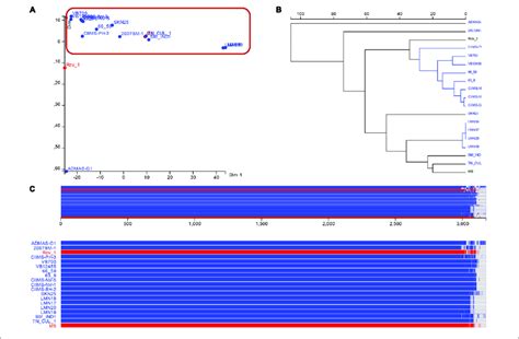 Results Of Pangenome Analysis A Multidimensional Scaling B