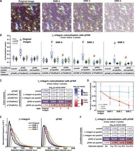 Conditional Colocalization Analysis Is Robust With Respect To Image