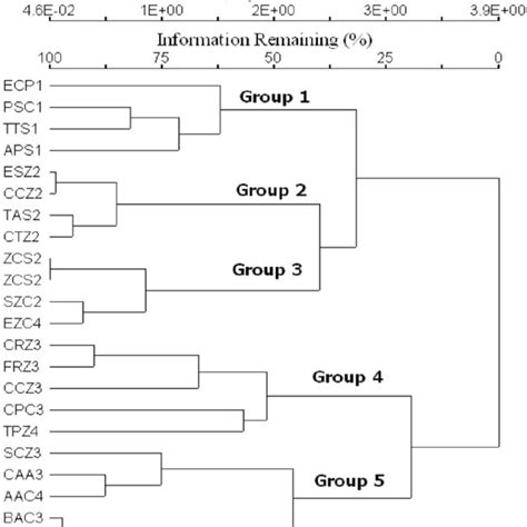 Two Way Cluster Dendrogram Showing Grouping Of Different Communities