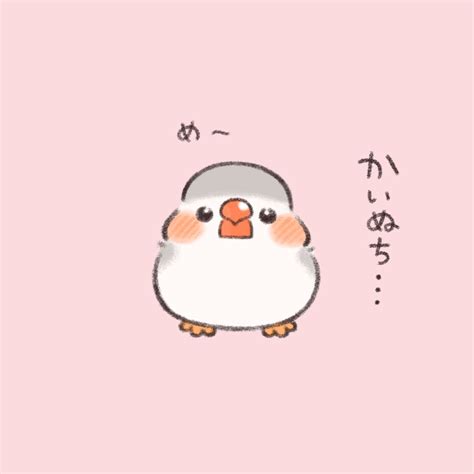 かいぬちお歌をきいて下さい キンカチョウ鳥野ニーナの漫画