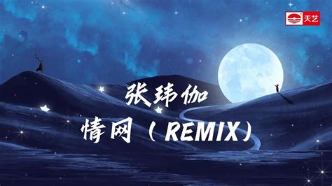天艺音乐 张玮伽 Vega 《情网》（remix）love Net 动态歌词视频 Lyrics Youtube