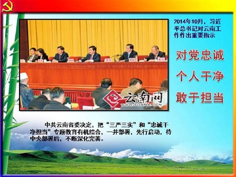 关于三严三实党课课件企业版word文档在线阅读与下载无忧文档