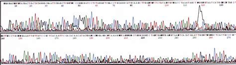Mu Genomics Technology Core Mu Genomics Technology Core