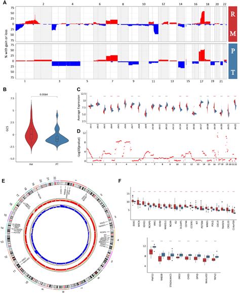 Copy Number Variation Analysis For Recurrent Metastatic Neuroblastoma Download Scientific