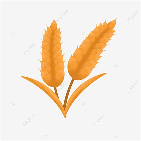 Gandum Png Picture Gandum Kartun Gandum Padi Rice Png Image For Free Download In 2024