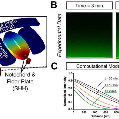 Computer Simulations Of Microdevice Operation Accurately Predict Device Download Scientific