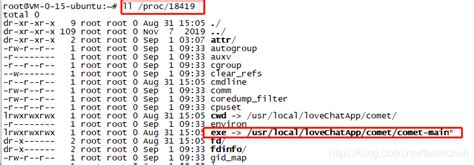 linux查看进程运行的完整路径方法 linux top 获取应用应用地址 csdn博客