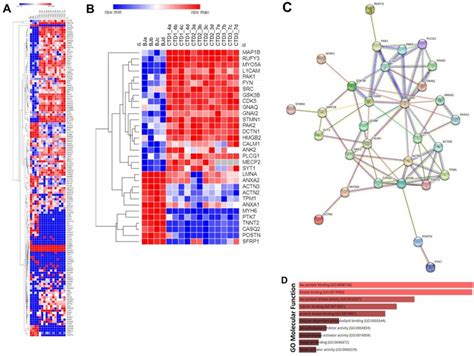 Heatmap String Interaction And Go Molecular Functional Analysis A Download Scientific Diagram