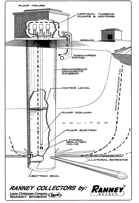 My Tapley Tree And Its Branches Surname Saturday Ranney