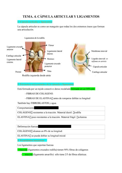 T4 Cápsula y los ligamentos doc copia TEMA 4 CÁPSULA ARTICULAR Y LIGAMENTOS Cápsula