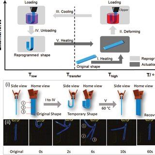 Shape Memory Properties Of The Synthesized Polymeric Materials A Download Scientific Diagram
