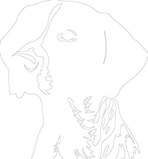 German Shorthaired Pointer Outline Silhouette 40541656 Vector Art At