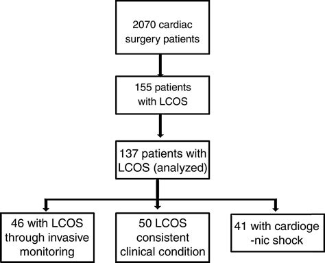 Low Cardiac Output Syndrome In The Postoperative Period Of Cardiac Surgery Profile Differences