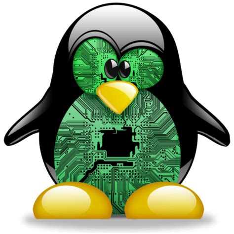Run Anything As A Service On Linux Graycode