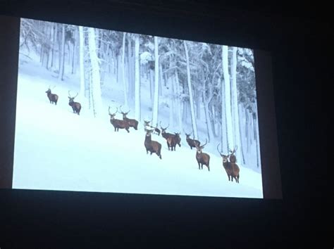 Mike Thornton Linkedinde Bigpictureconference