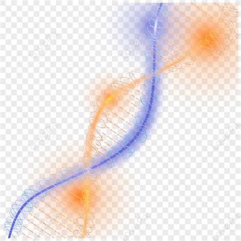 Dna Molecular Structure Two Color Light Shadow Abstract Spiraldna Dna Molecular Structure Two Color Light Shadow Abstract Spiraldna
