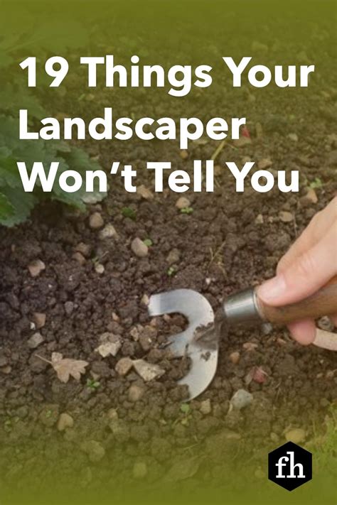18 Things Your Landscaper Wont Tell You Front Lawn Landscaping Curb