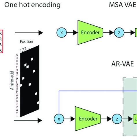 schematic representation of the input representation and vae models