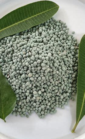 Bio Fertilizer With Natural Nutrients Super Calc Gujarat G Vin Group