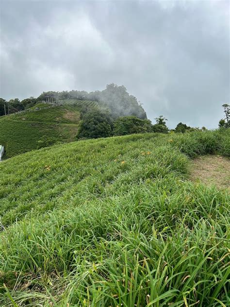 太麻里金針山休閒農業區的菜單、評論、圖片台東縣太麻里鄉好吃、cp值超高的旅遊景點 愛玩記