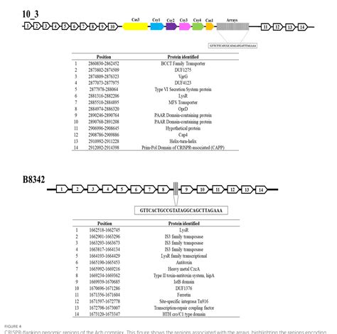 Figure 4 From A Bioinformatic Approach To Identify Confirmed And Probable Crispr Cas Systems In