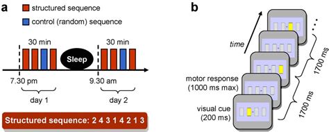 Figure 1 From Decoding Sequence Learning From Single Trial Intracranial