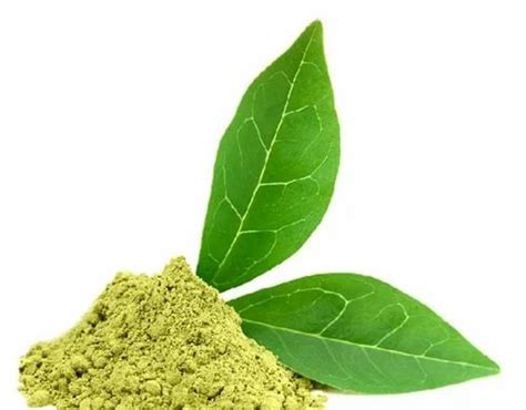 Gymnema Extract Packaging Type Packet At Rs 985kg In New Delhi Id
