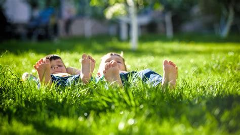 Tiny Soil Communities Vary Widely Depending On Environment 89ha