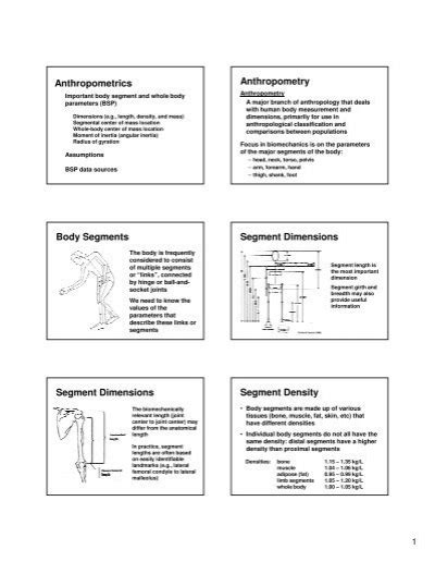 Anthropometrics Body Segment Parameters