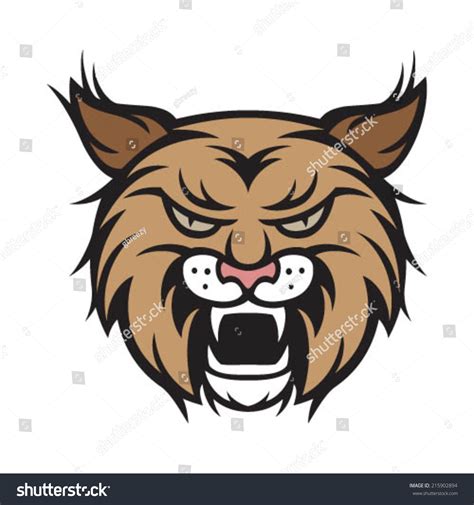 Bobcat Face Stock Vector 215902894 Shutterstock