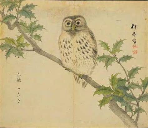 61天读完《诗经》day8《式微》《旄丘》《简兮》《泉水》《北门》 知乎