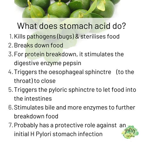 What Does Stomach Acid Do — Gutsy By Nutrition Health And Wellness