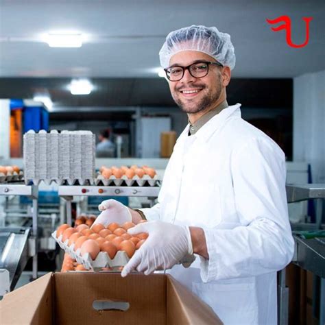 Curso de Control y Manejo de Huevos y Pollos Recién Nacidos en la