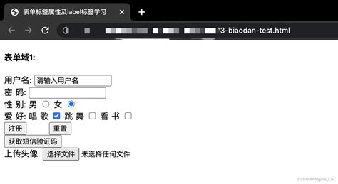 Html篇八——（1）html 有两个表单 Csdn博客