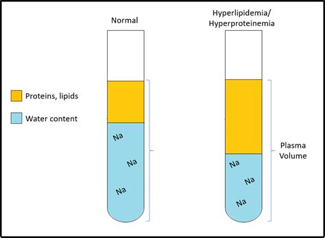 Case 29 Diagnosis And Conclusions Nephsim