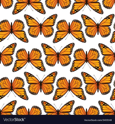 Monarch Butterfly Template