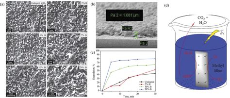 A Sem Of V 2 O 5 And B Doped V 2 O 5 B Sem Of B Doped V 2 O 5