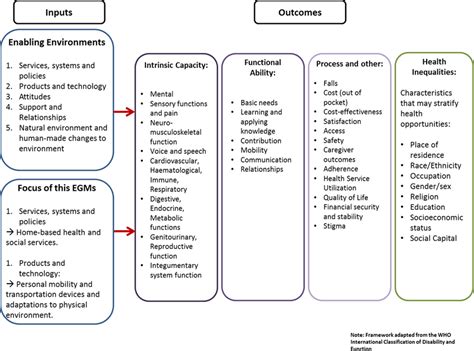 Conceptual Framework [color Figure Can Be Viewed At Wileyonlinelibrary